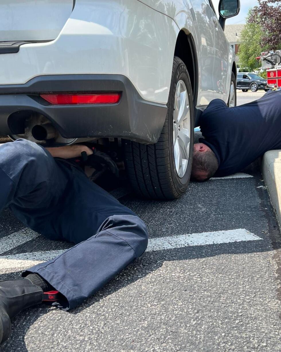 University Heights firefighters rescue kitten trapped in undercarriage ... University Heights firefighters rescue kitten trapped in undercarriage ...