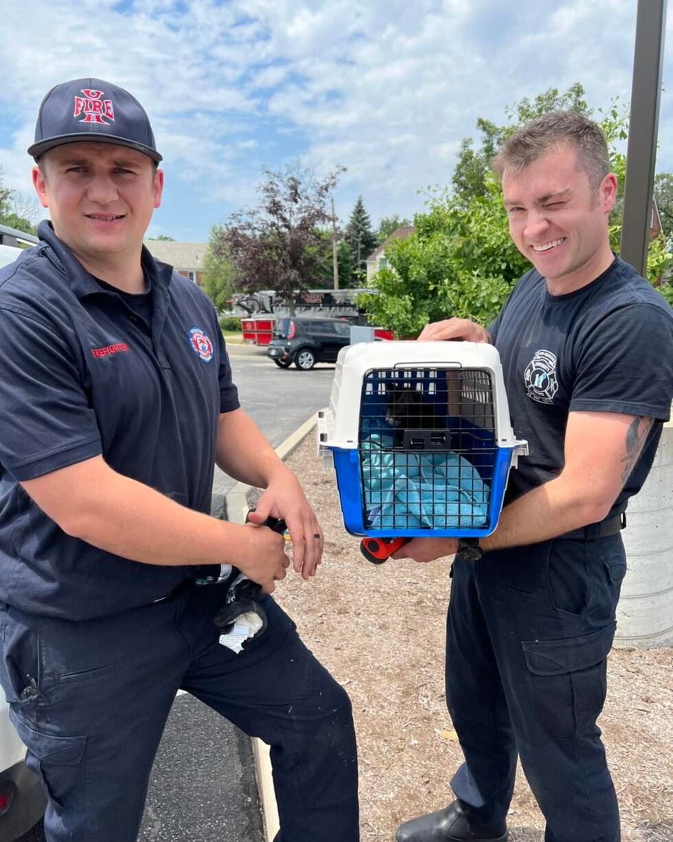 University Heights firefighters rescue kitten trapped in undercarriage ... University Heights firefighters rescue kitten trapped in undercarriage ...